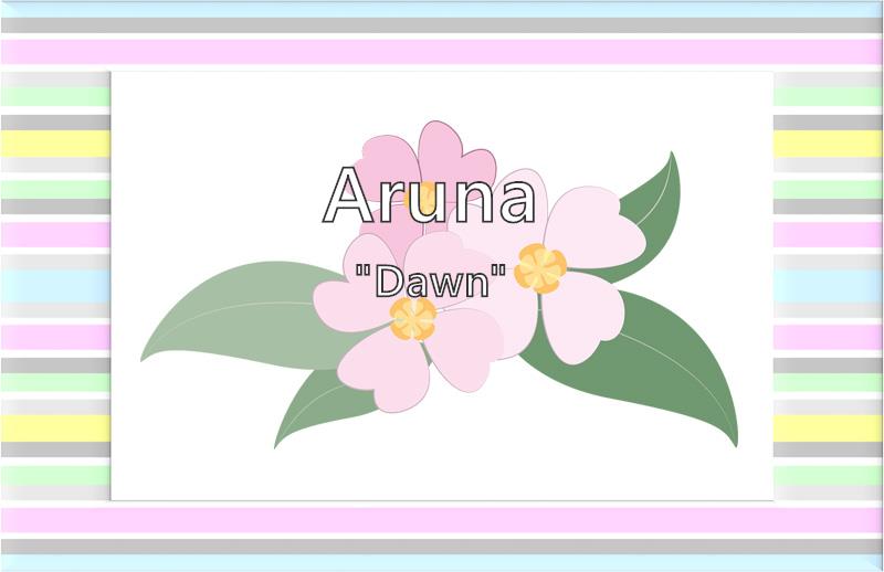 Aruna Name