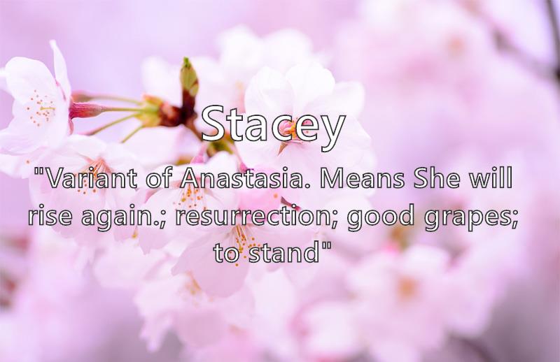 The Meaning Of Stacey